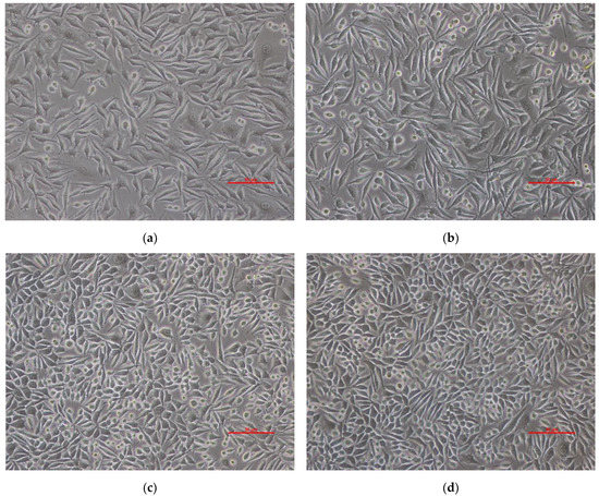 An Evaluation of the Usability of Argon Plasma-Treated Bacterial ...