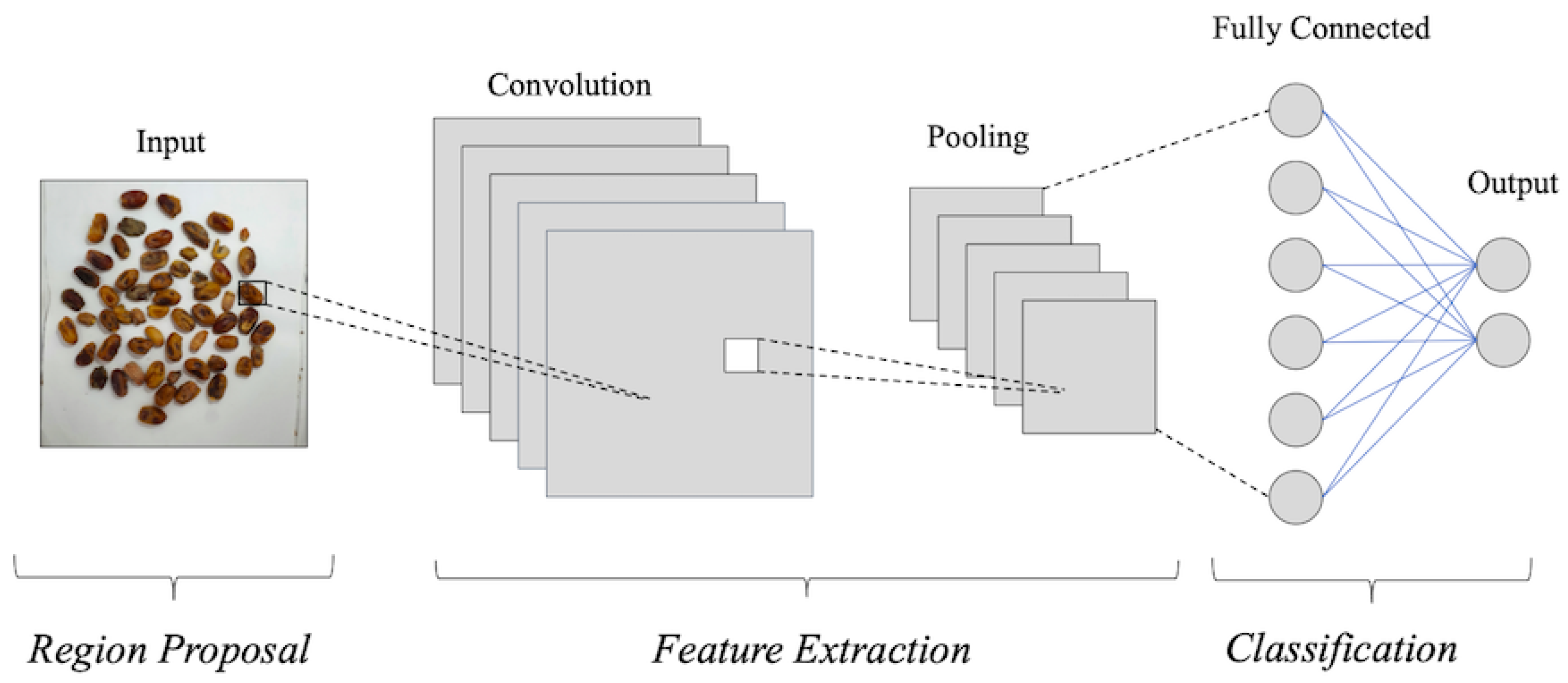 Date Fruit Classification Based on Surface Quality Using Convolutional Neural Network Models