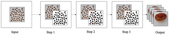 Date Fruit Classification Based on Surface Quality Using Convolutional Neural Network Models