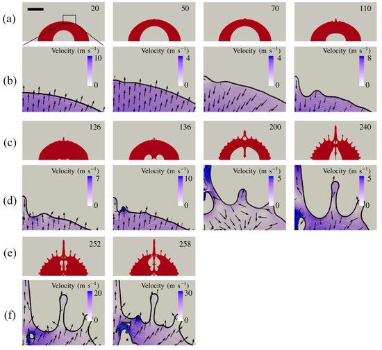 A Review of the Dynamics Progress of Bubble Collapse within Droplet and ...