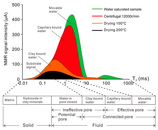 Pore Structure and Fluid Evaluation of Deep Organic-Rich Marine Shale ...