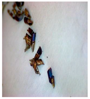 Research on Roughness and Microhardness of C45 Material Using High ...