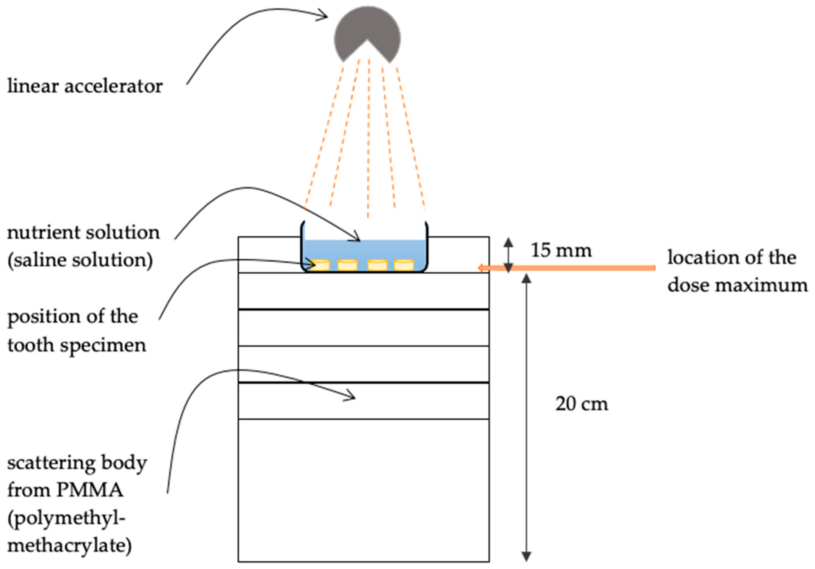 Impact of Preceded Tumor Therapeutic Irradiation on the Microtensile ...