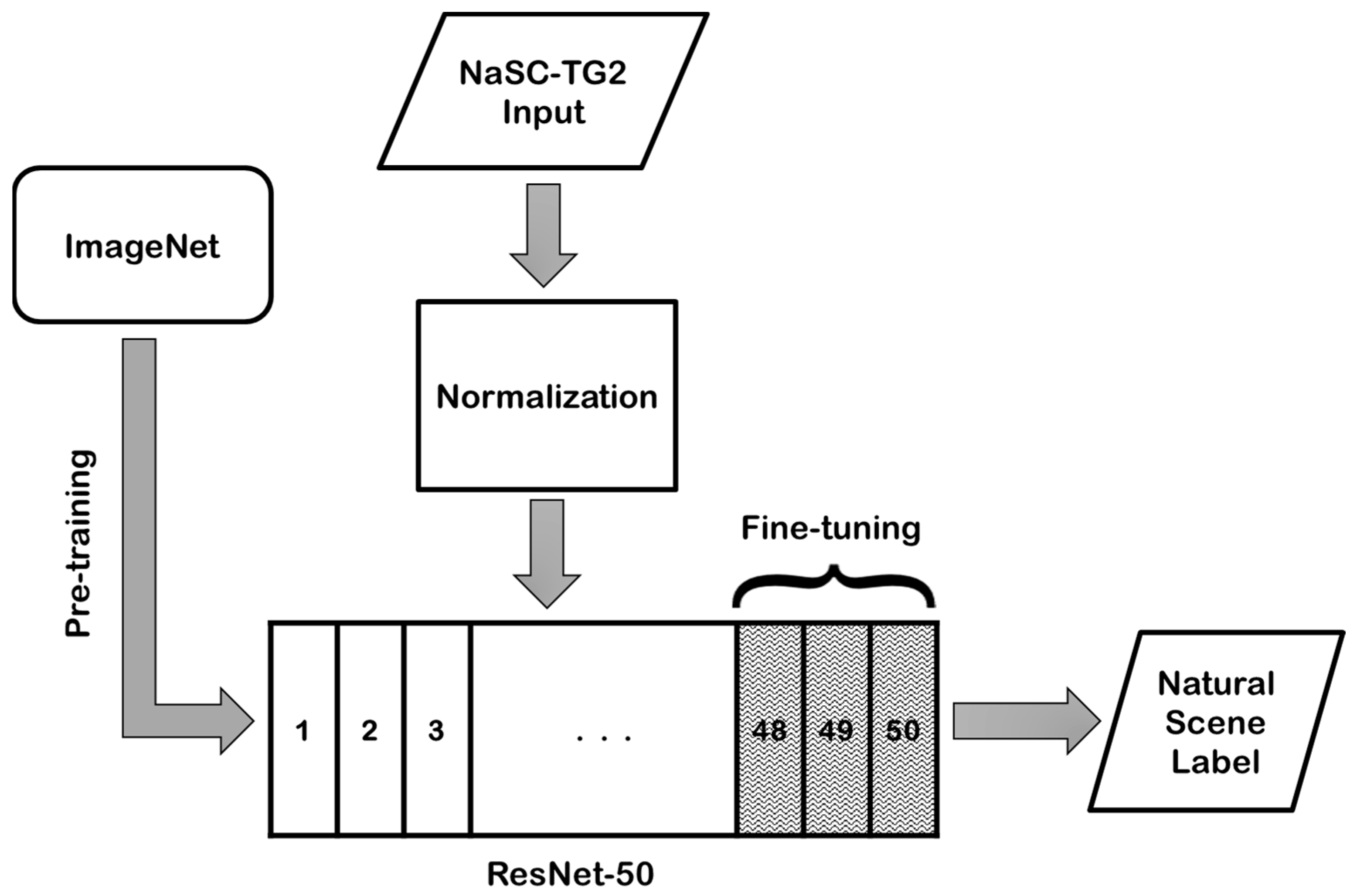 Cross-Domain Transfer Learning for Natural Scene Classification of ...