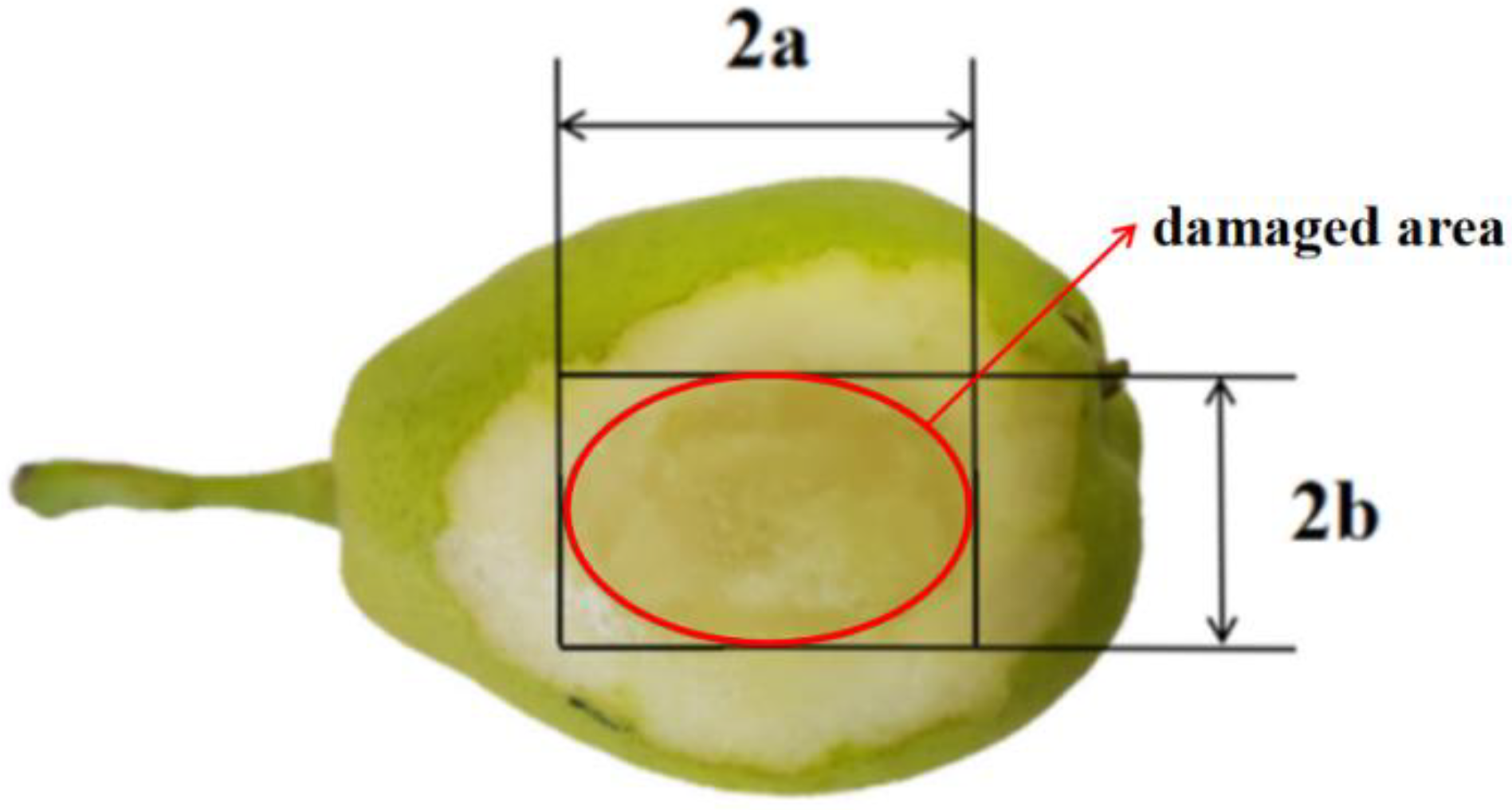 Applied Sciences | Free Full-Text | Construction of Color Prediction ...