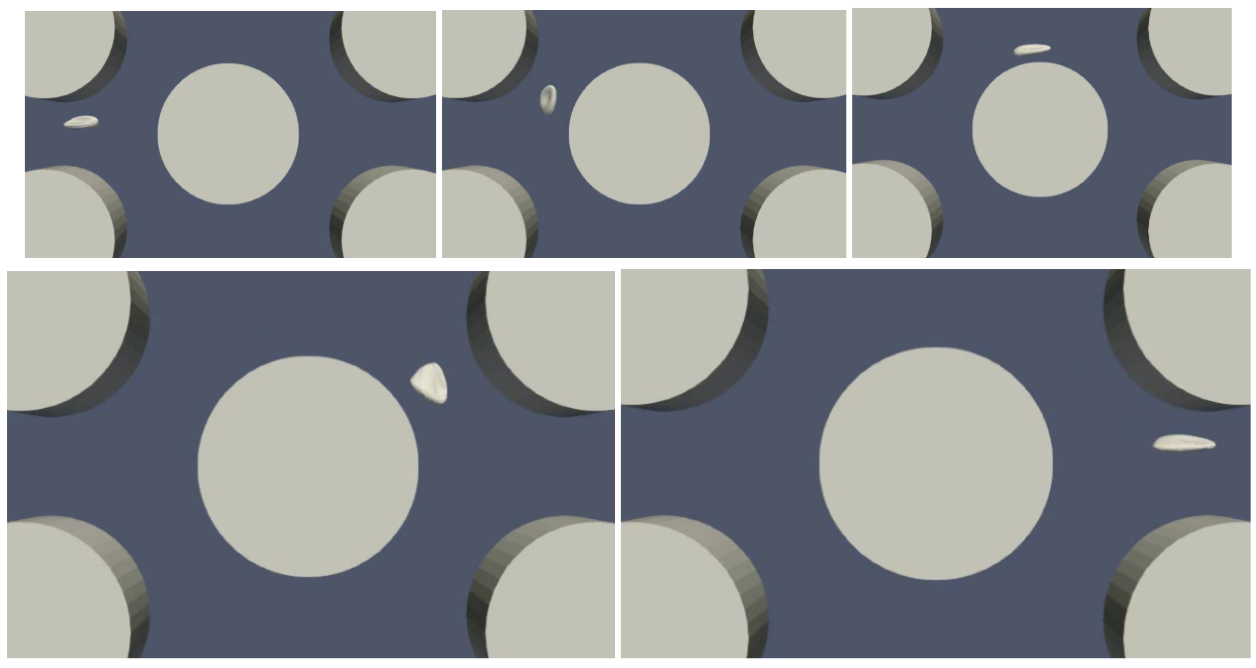 Applied Sciences | Free Full-Text | Classification of Red Blood Cells ...