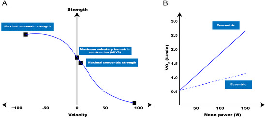 Eccentric Resistance Training: A Methodological Proposal of Eccentric ...