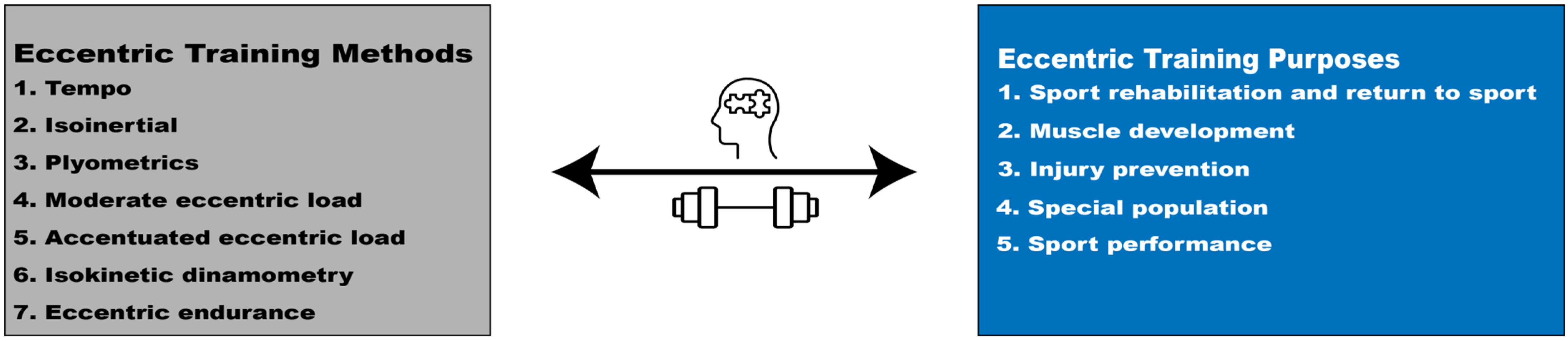 Eccentric Resistance Training: A Methodological Proposal of Eccentric Muscle Exercise ...