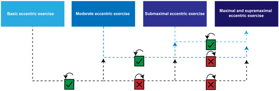Eccentric Resistance Training: A Methodological Proposal of Eccentric ...