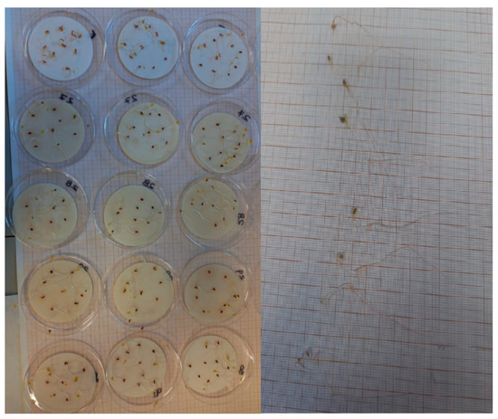 Aroma Composition of Wines Produced from Grapes Treated with Organic ...