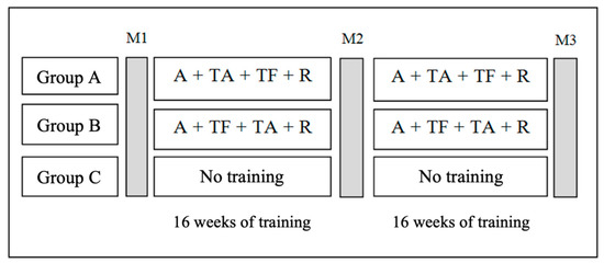 The Impact of Multicomponent Exercise Protocols Order on the Maximum ...