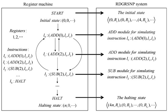 Applied Sciences | Free Full-Text | Spiking Neural P Systems with Rules Dynamic Generation and ...
