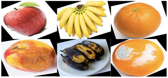 Automatic Fruits Freshness Classification Using CNN and Transfer Learning