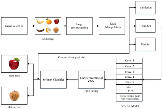 Automatic Fruits Freshness Classification Using CNN and Transfer Learning