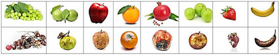 Automatic Fruits Freshness Classification Using CNN and Transfer Learning