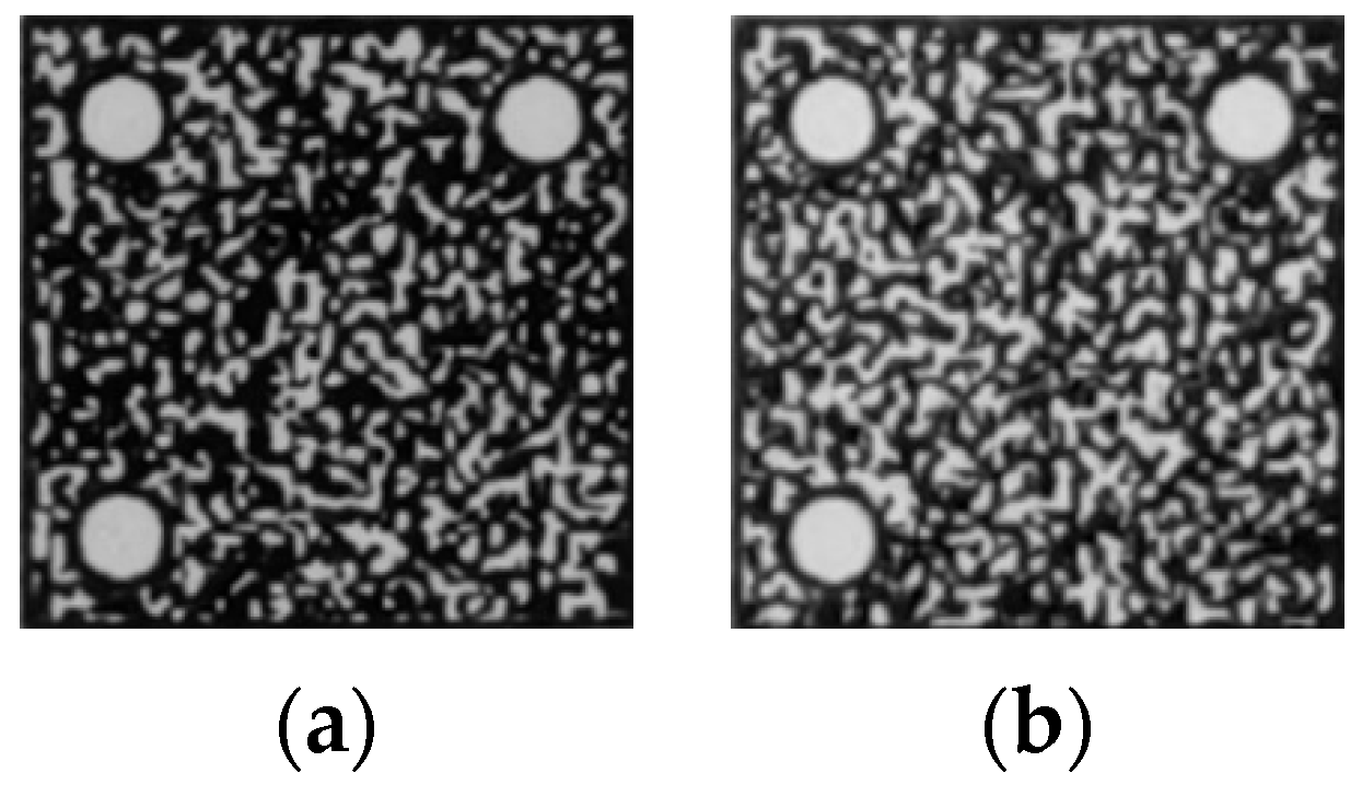 Applied Sciences | Free Full-Text | Forgery Detection for Anti ...