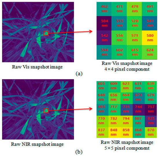 Snapshot-Based Multispectral Imaging for Heat Stress Detection in Southern-Type Garlic