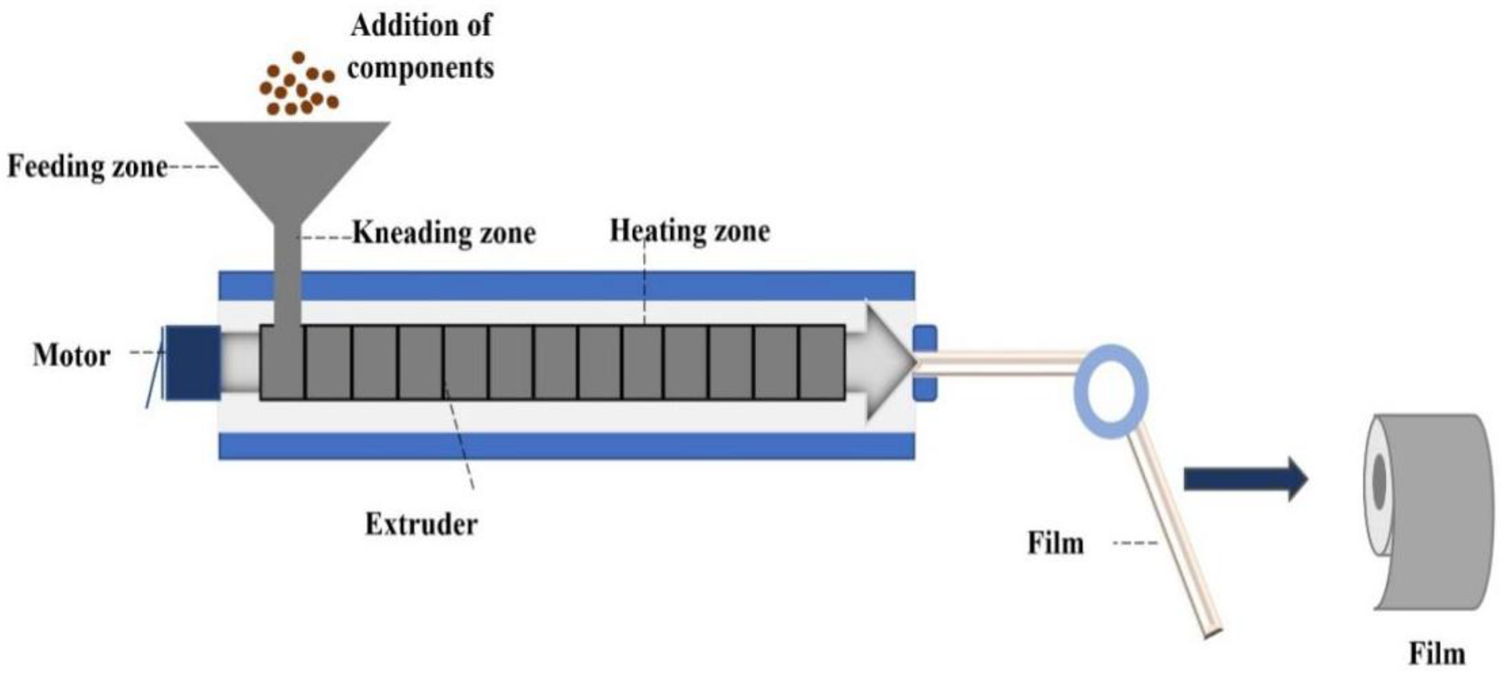 Edible Packaging: A Technological Update for the Sustainable Future of ...