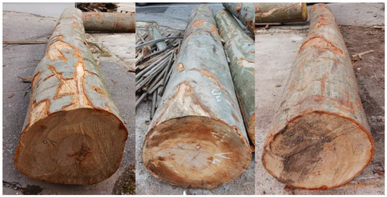 The Impact of the Log-Sawing Patterns on the Quantitative and ...