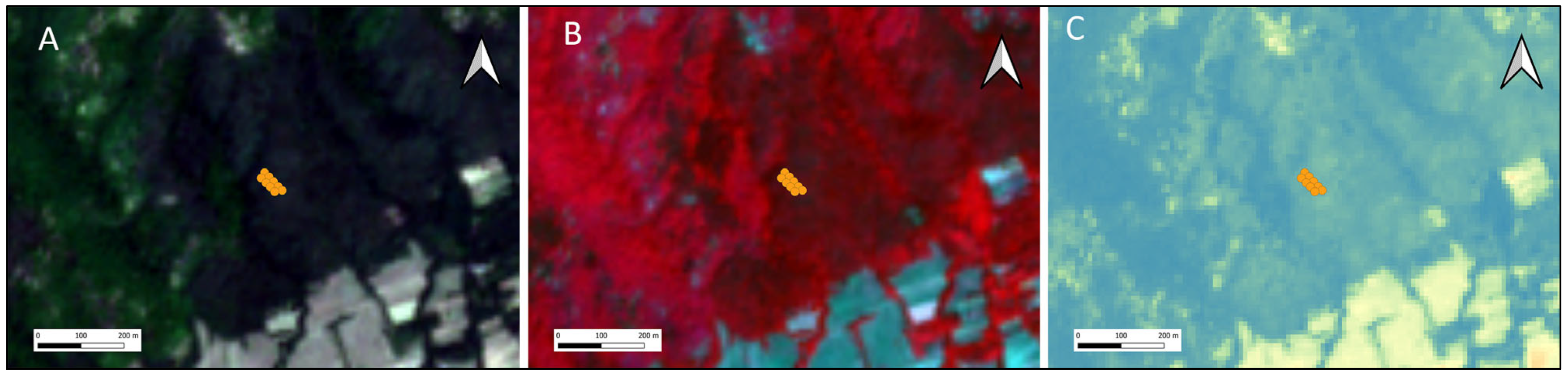 Improving Forest Detection Using Machine Learning and Remote Sensing: A ...