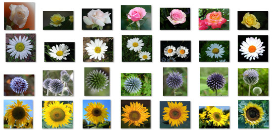 Applied Sciences | Free Full-Text | Radish Growth Stage Recognition ...