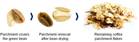 Biorefinery and Stepwise Strategies for Valorizing Coffee By-Products ...