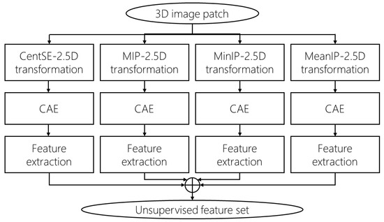 Unsupervised Feature Extraction for Various Computer-Aided Diagnosis Using Multiple ...
