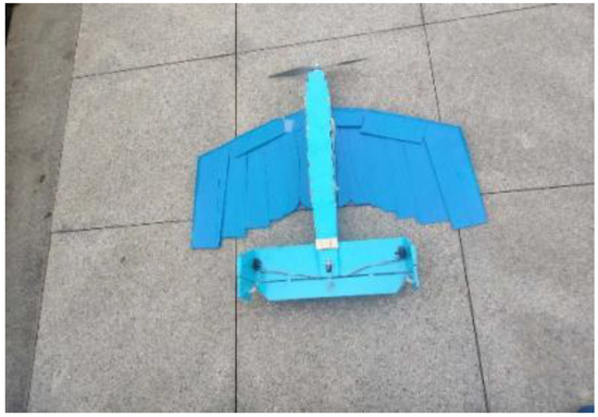 Applied Sciences | Free Full-Text | A New Type Bionic Foldable Wing ...