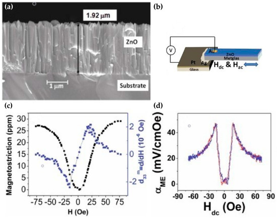 A Review of Magnetoelectric Composites Based on ZnO Nanostructures