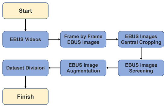 Peripheral Pulmonary Lesions Classification Using Endobronchial ...
