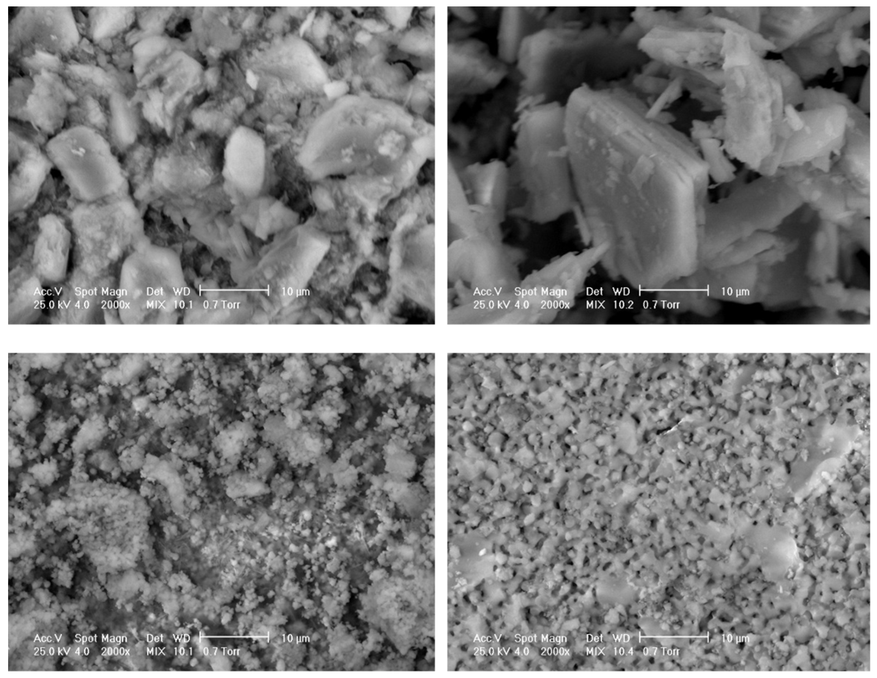 Current Options and Future Perspectives on Bone Graft and Biomaterials ...