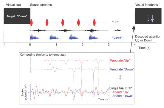 Neural Mechanisms Related to the Enhanced Auditory Selective Attention ...