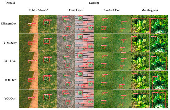 Evaluation of YOLO Object Detectors for Weed Detection in Different ...