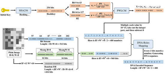 Hash Based DNA Computing Algorithm for Image Encryption