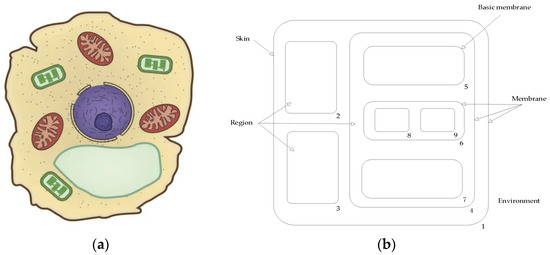 P System with Fractional Reduction