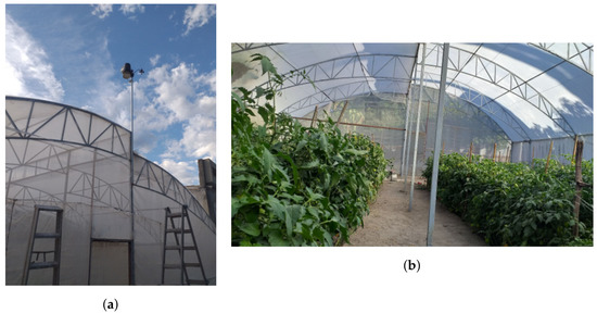 Prediction of Internal Temperature in Greenhouses Using the Supervised ...