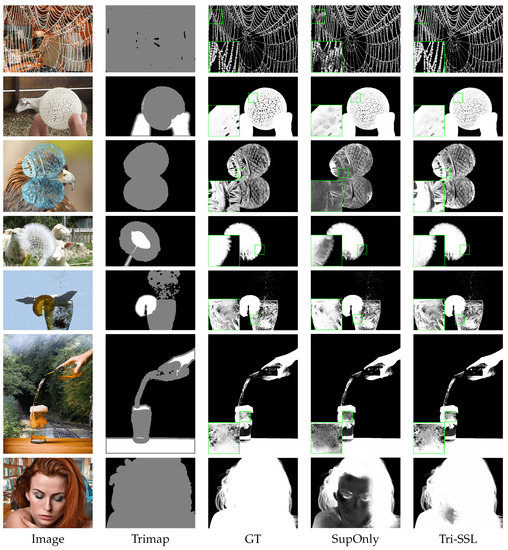 Applied Sciences | Free Full-Text | Semi-Supervised Learning Matting Algorithm Based on Semantic ...