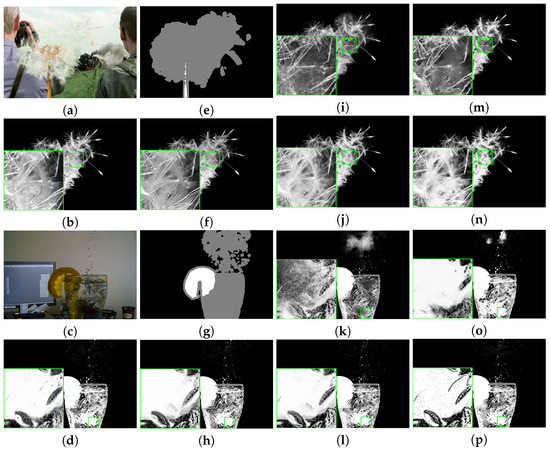 Semi-Supervised Learning Matting Algorithm Based on Semantic Consistency of Trimaps