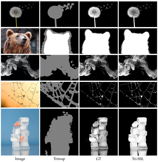 Semi-Supervised Learning Matting Algorithm Based on Semantic Consistency of Trimaps