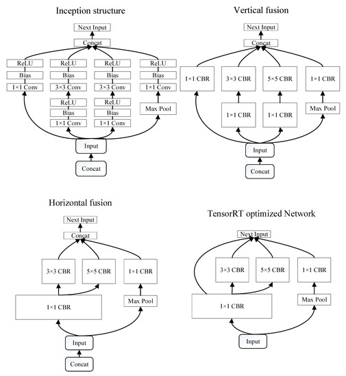 Applied Sciences | Free Full-Text | Rapid and Accurate Crayfish Sorting ...