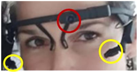 Predictive Eye Movements Characterize Active, Not Passive ...