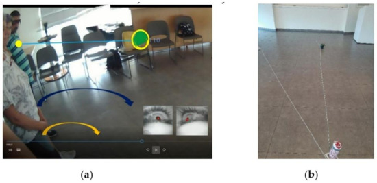 Predictive Eye Movements Characterize Active, Not Passive, Participation in the Collective ...