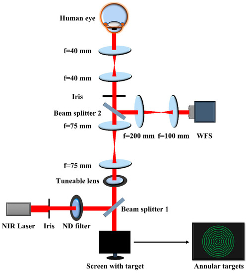 Parafoveal and Perifoveal Accommodation Response to Defocus Changes ...