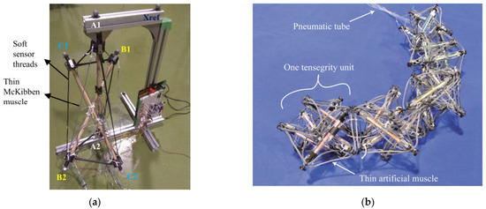 Tensegrity Applications to Architecture, Engineering and Robotics: A Review