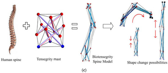 Tensegrity Applications to Architecture, Engineering and Robotics: A Review