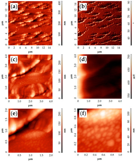 Application of the [WO2(C5H7O2)2] Complex in Hydrothermal Synthesis of ...