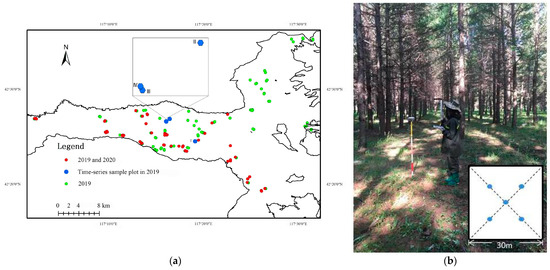 Estimation Of Time Series Forest Leaf Area Index Lai Based On