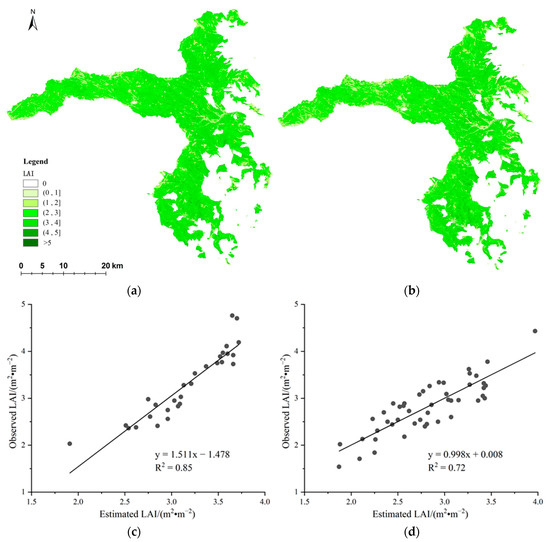 Estimation Of Time Series Forest Leaf Area Index Lai Based On