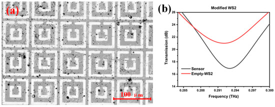 Surface-Modified Compounds Improve the Detection Sensitivity of ...