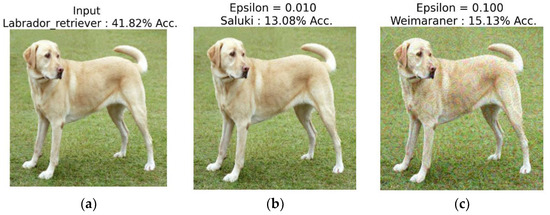 Applied Sciences | Free Full-Text | Universal Adversarial Training Using Auxiliary Conditional ...